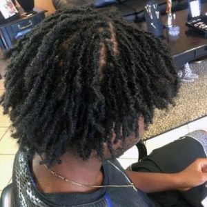 Master Collection of Brotherlocks of Black Men - New Natural Hairstyles