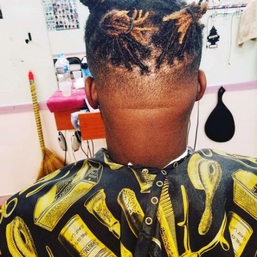Master Collection of Brotherlocks of Black Men - New Natural Hairstyles