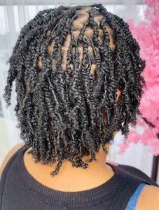 How to achieve two-strand twist starter locs step-by-step guide with ...
