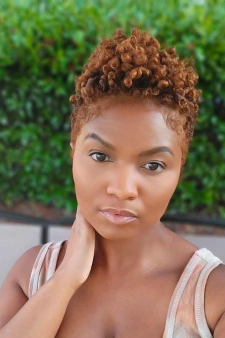 31 Short Afro Hairstyles For Females to Try (with pictures) - New ...